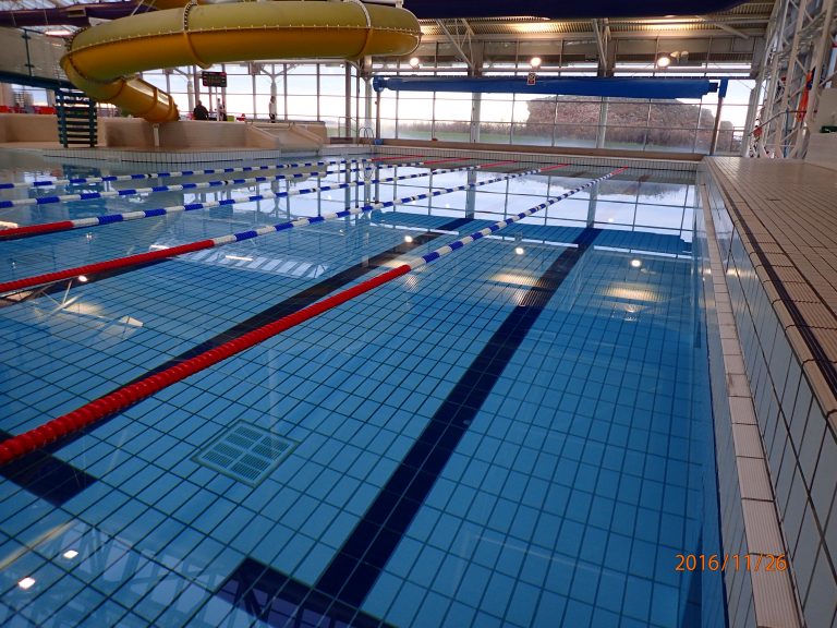 About Us – Dunbar Amateur Swimming Club